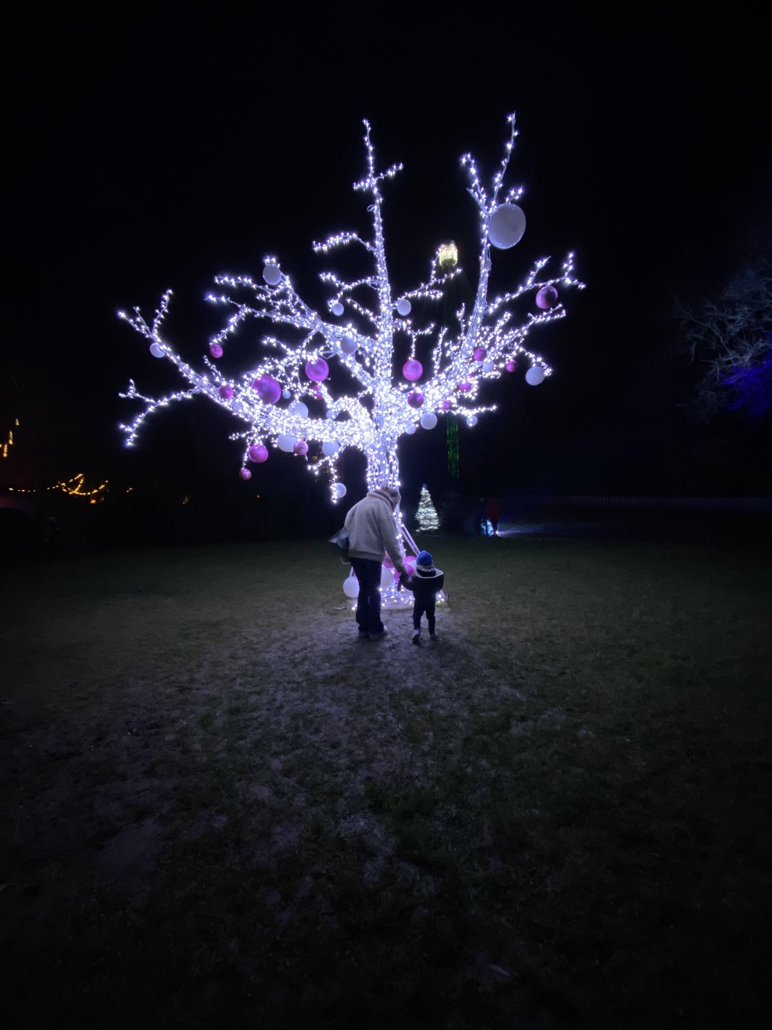 Walibi Winter - Destination Brabant wallon